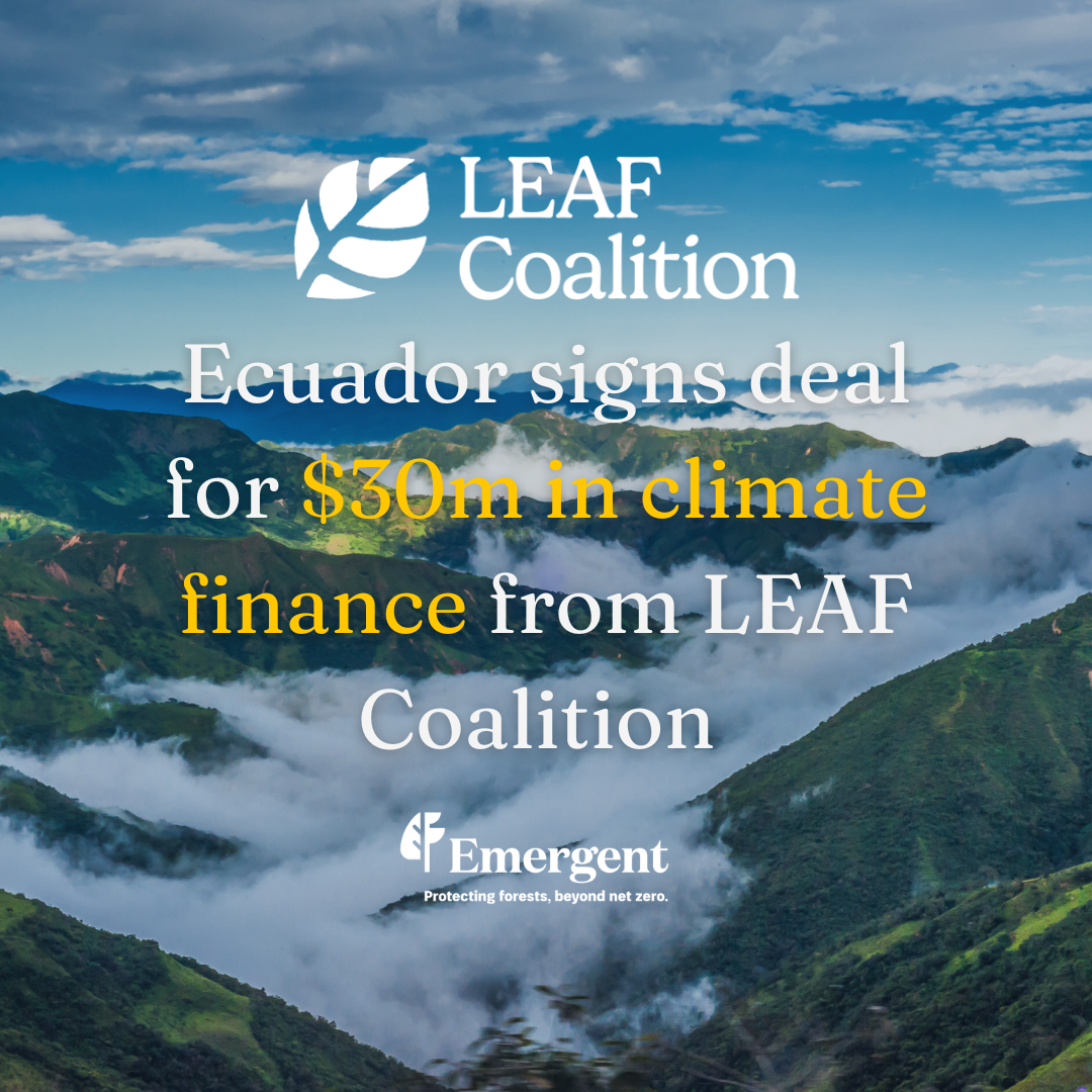 Ecuador signs deal for $30m in climate finance from LEAF Coalition ...